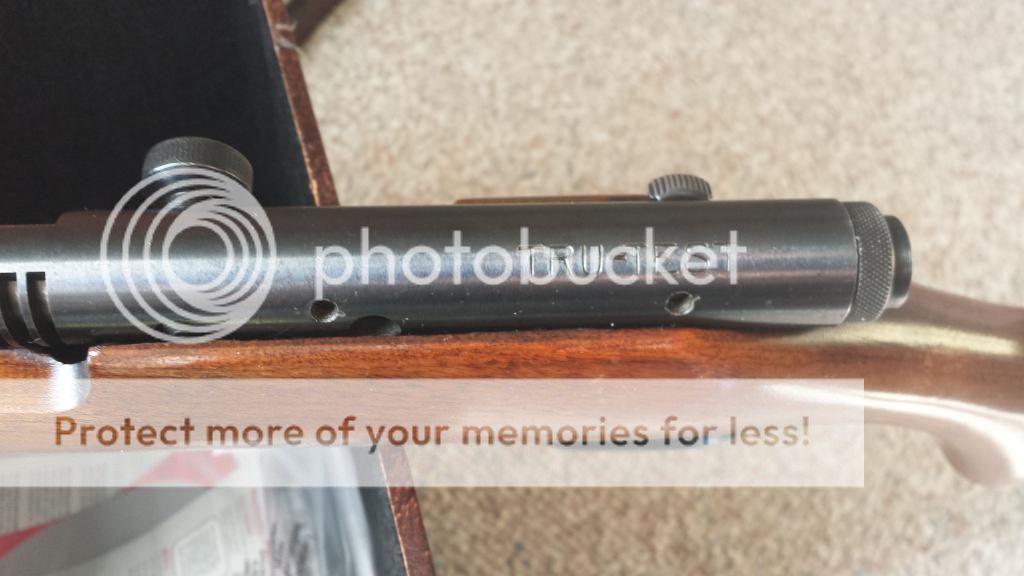 Tru-Test .22 semi-auto | Rimfire Central Firearm Forum