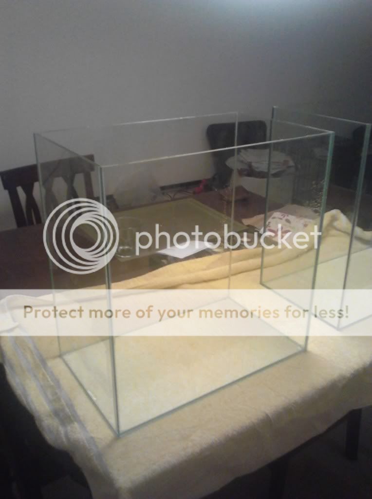 Another Walstad Method bowl | The Planted Tank Forum